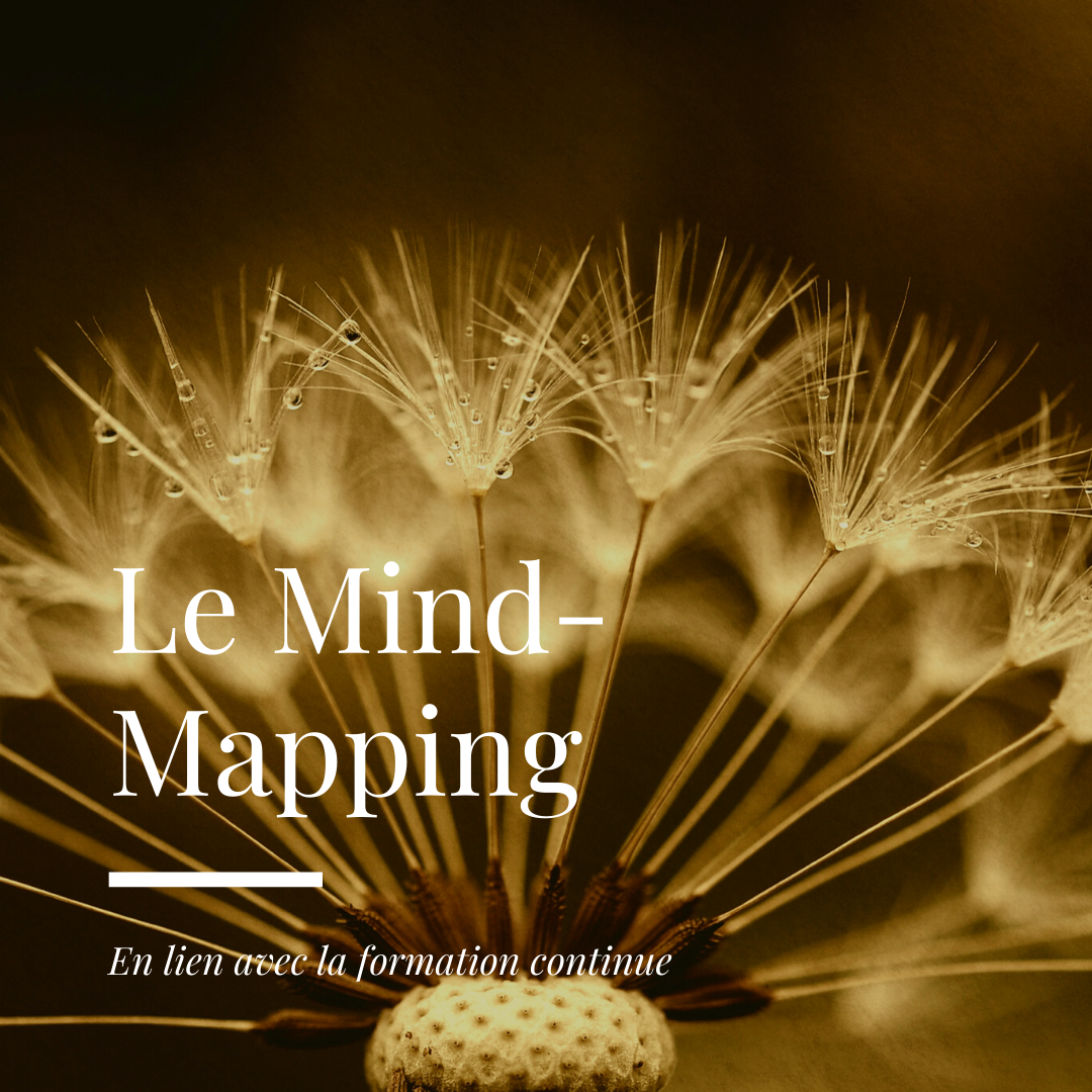 Mind-Mapping | Optim'hum - E-Learning