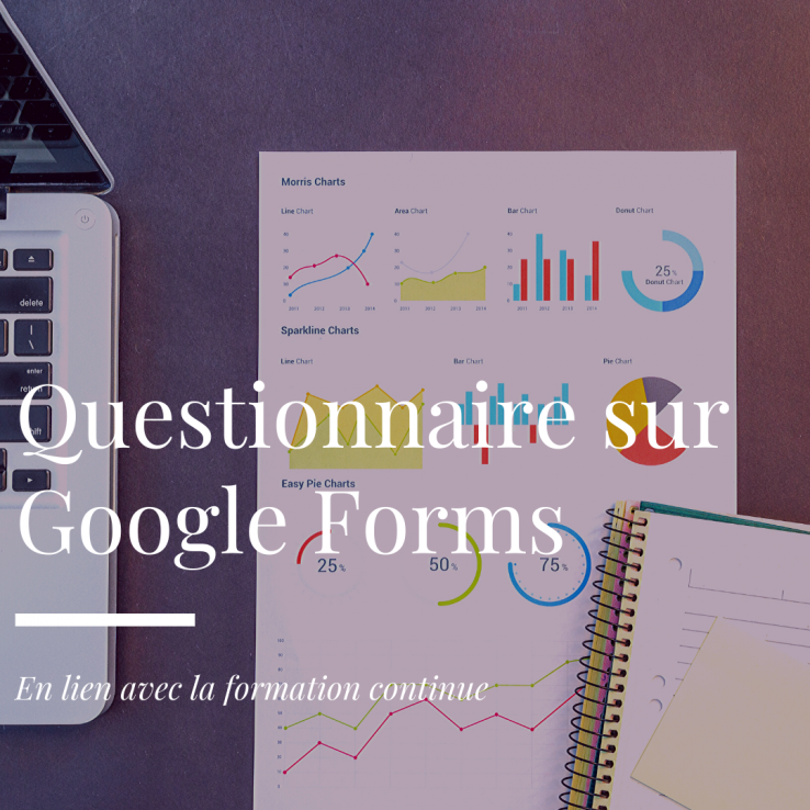 Questionnaire sur Google Forms | Optim'hum - E-Learning
