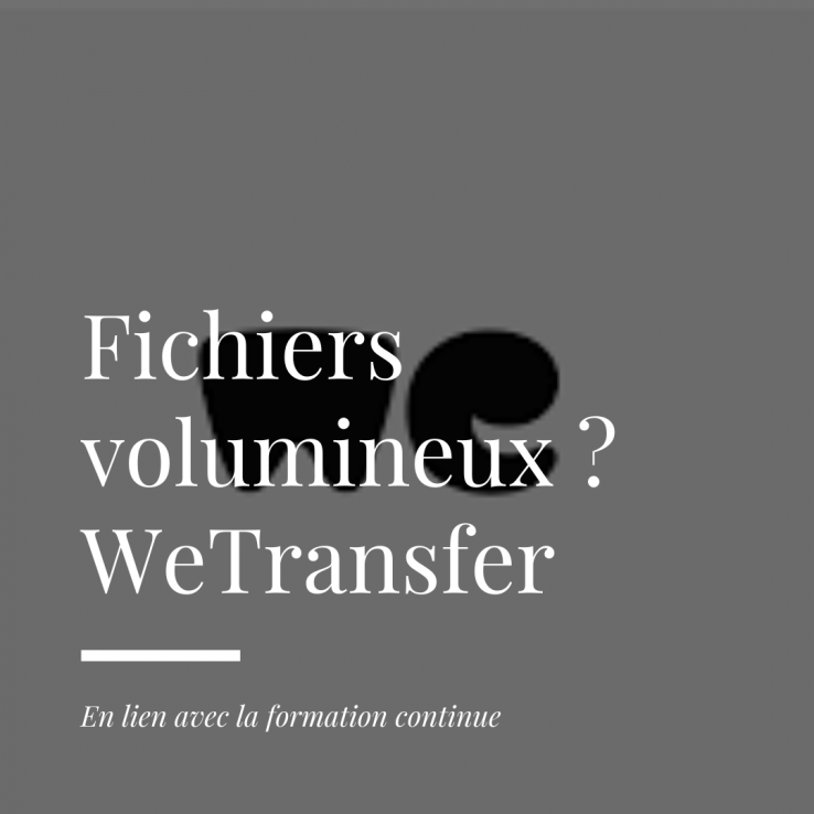 Questionnaire sur Google Forms | Optim'hum - E-Learning